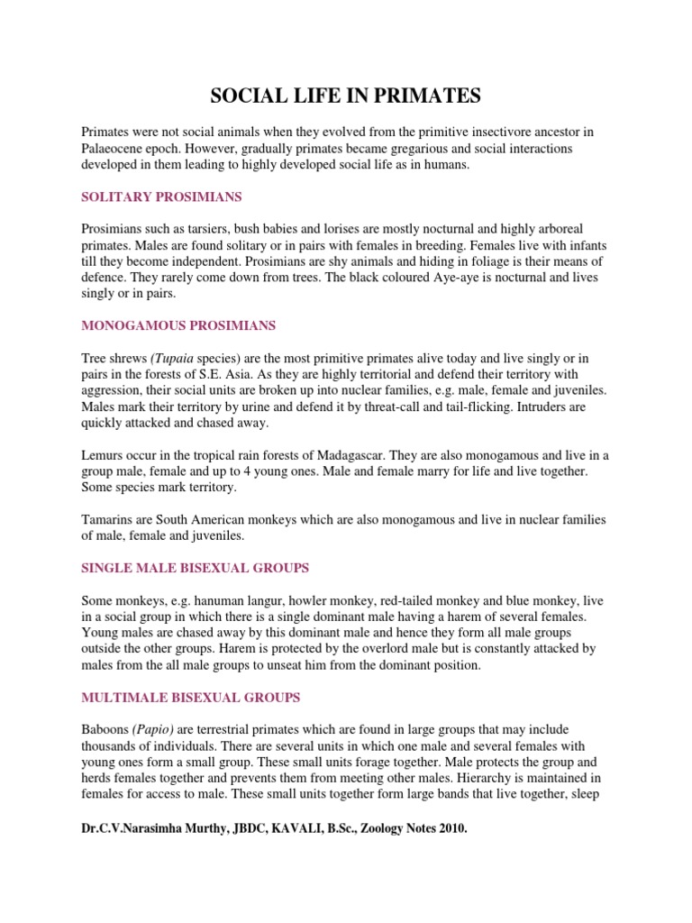 Social Life in Primates | PDF | Primate Taxonomy | Nature