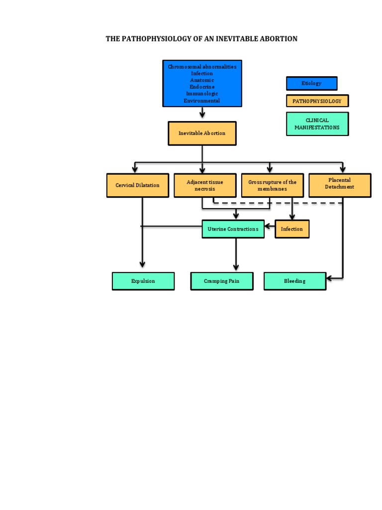 The Pathophysiology of An Inevitable Abortion | PDF