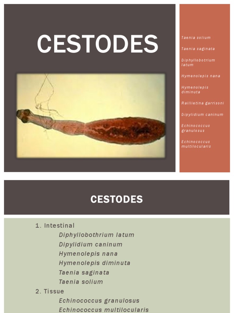 Cestode s | Parasites | Public Health