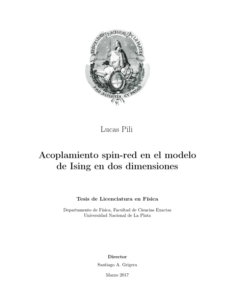 Modelo de Ising bidimensional con acoplamiento spin-red | PDF | Ciencia de los materiales ...