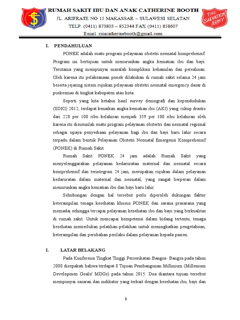 Program Kerja Ponek Fix | PDF