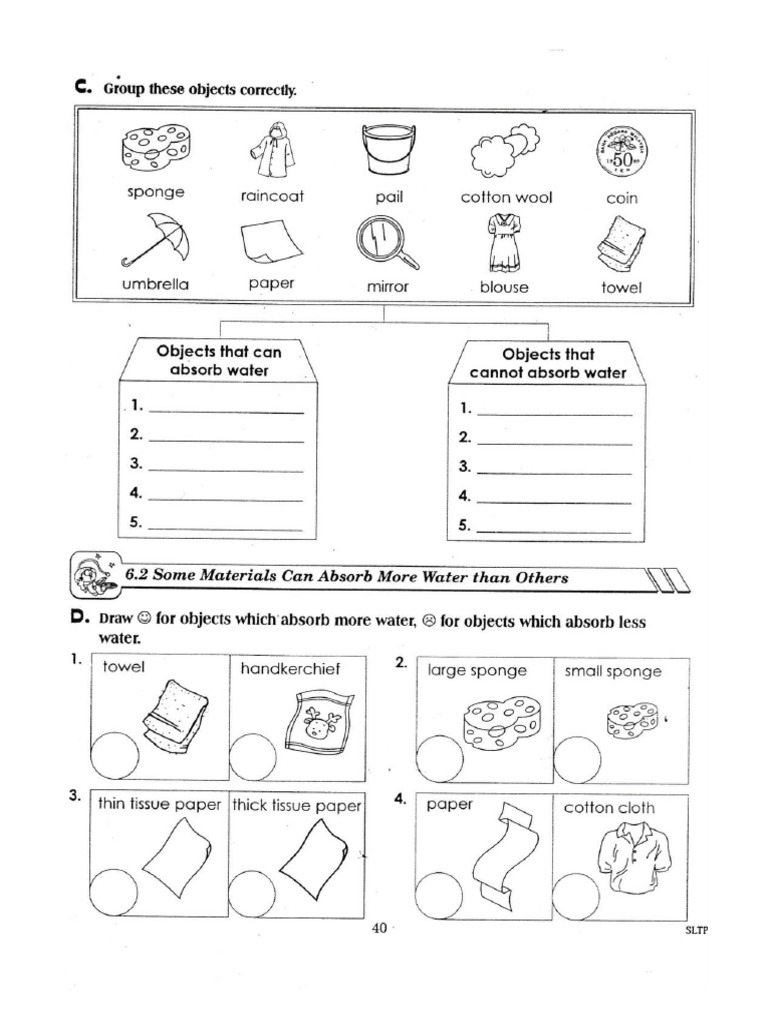 Worksheet Absorption 1n | PDF