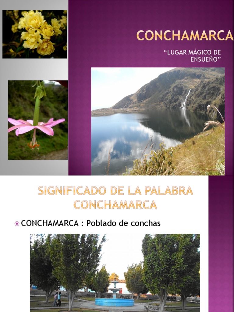Concha Marca | PDF | Agricultura | Naturaleza