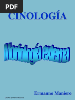 Morfología del perro: Graioides y Occipucio | PDF | Diente | Pastor alemán