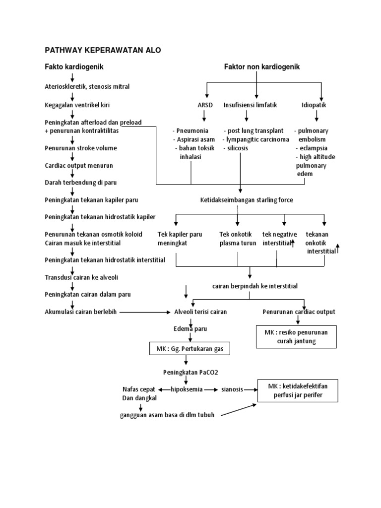 Pathway Keperawatan Alo | PDF