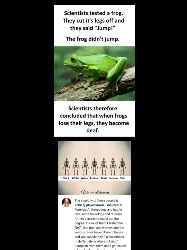 Paragraph Reasoning | PDF | Argument | Inference