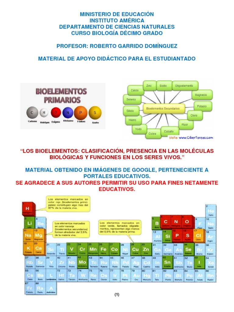 bio 10° bioelementos 2017