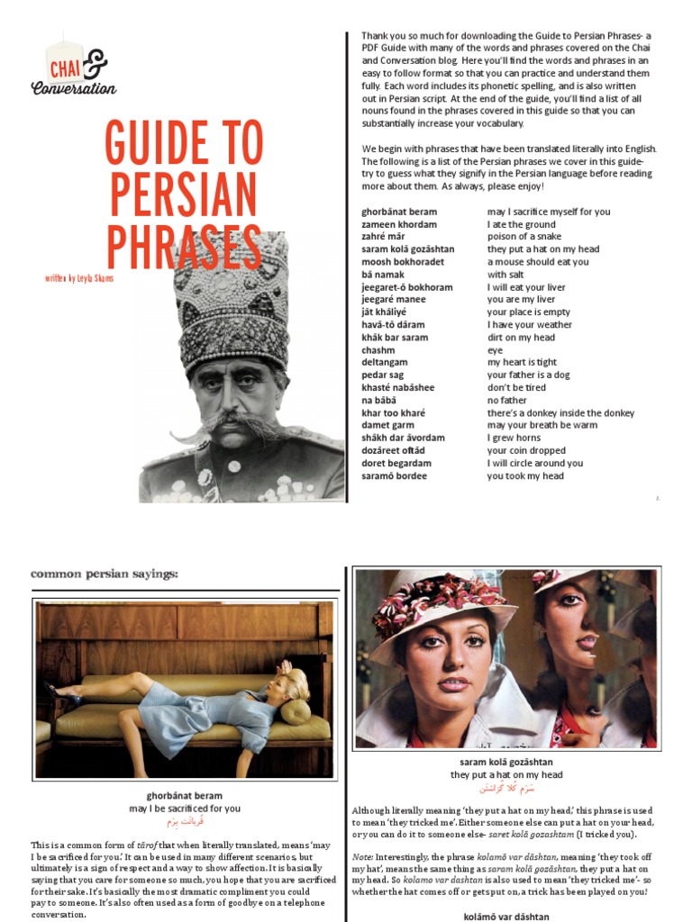 Guide To Persian Phrases | PDF | Languages | Language Arts & Discipline