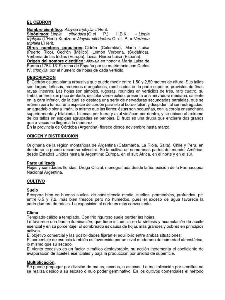 El Cedron | PDF | Hoja | Suelo