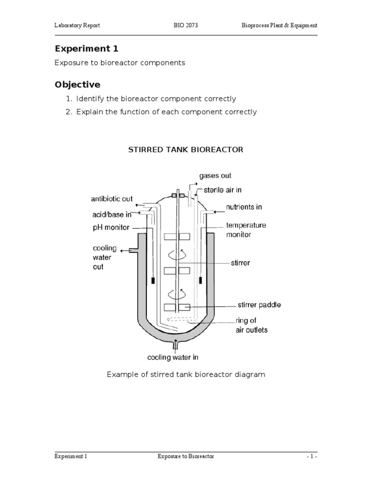 Exp 1 | PDF | Chemical Reactor | Chemical Engineering