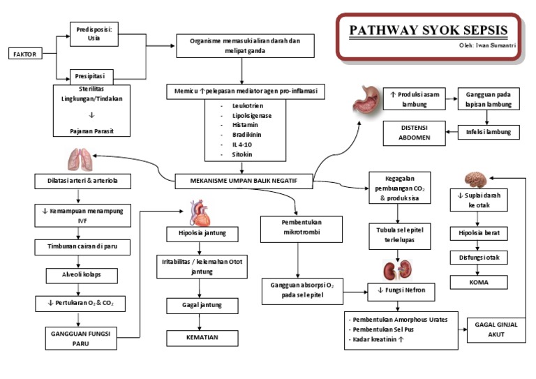 Pathway Syok Sepsis | PDF