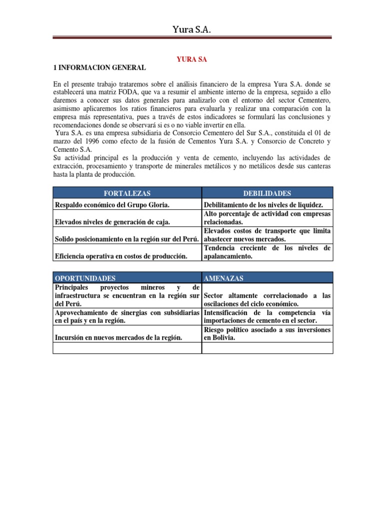 Yura Sa | PDF | Capital de trabajo | Business