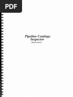 Coating Inspector Program (CIP) Training & Certification | PDF ...