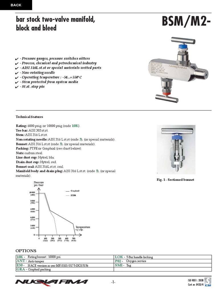 Data Sheet BSM - M2 - @en | PDF | Nature
