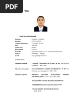 CURRICULUM VITAE BASICO Paola | PDF | Ciencias sociales | Derecho