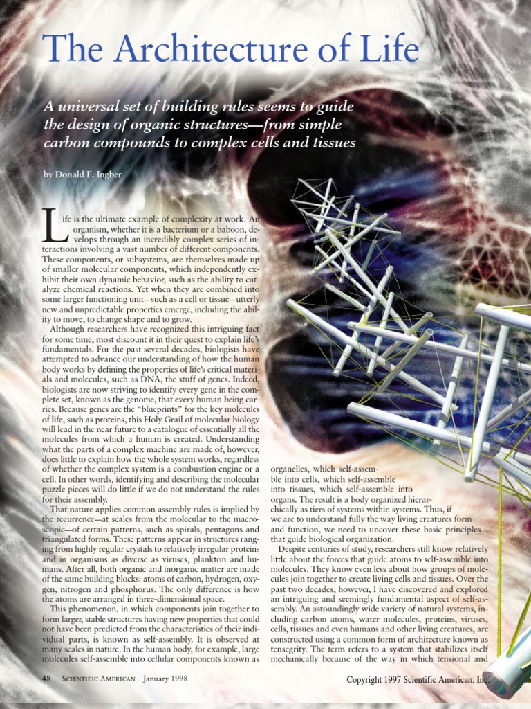 Architecture of Life Scientific American by Ingber | PDF | Business