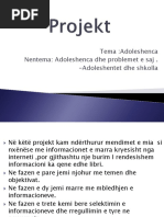 Projekt TIK | PDF