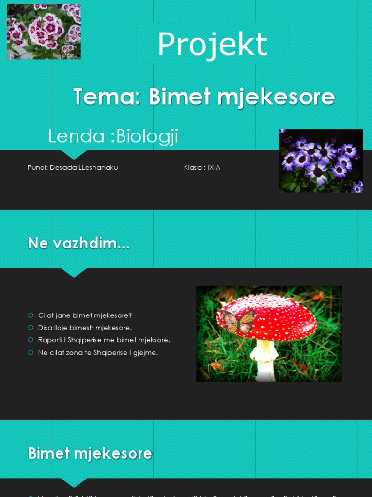 Bimet Mjekesore | PDF