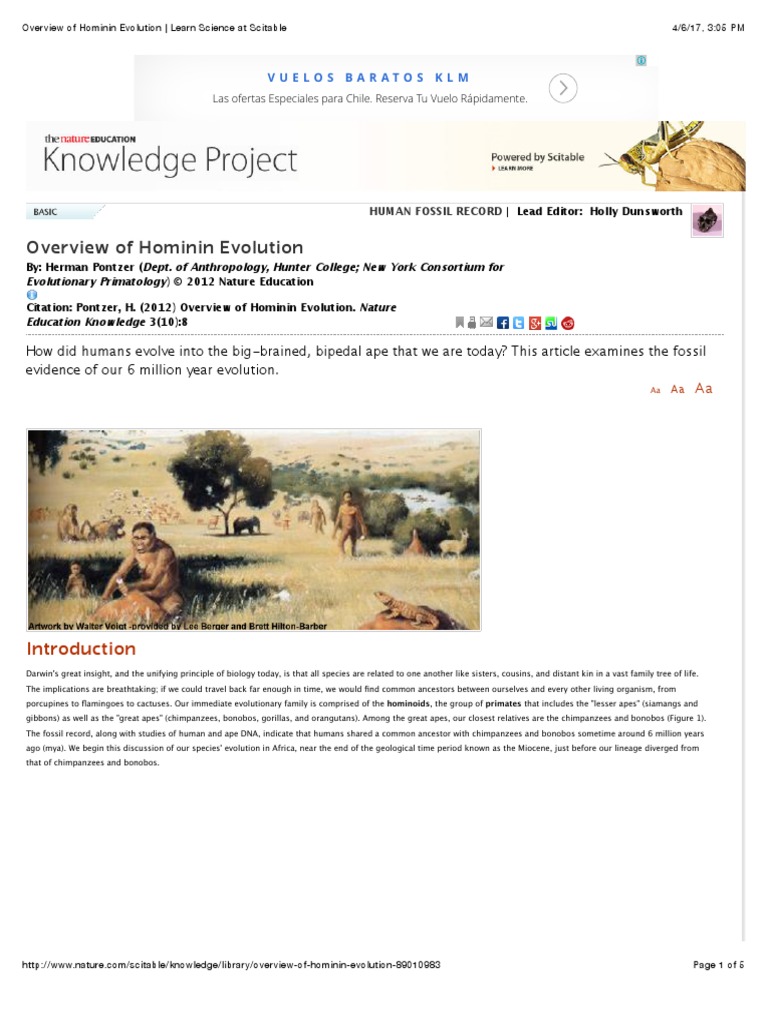 Overview Of Hominin Evolution Pdf Hominidae Human Evolution