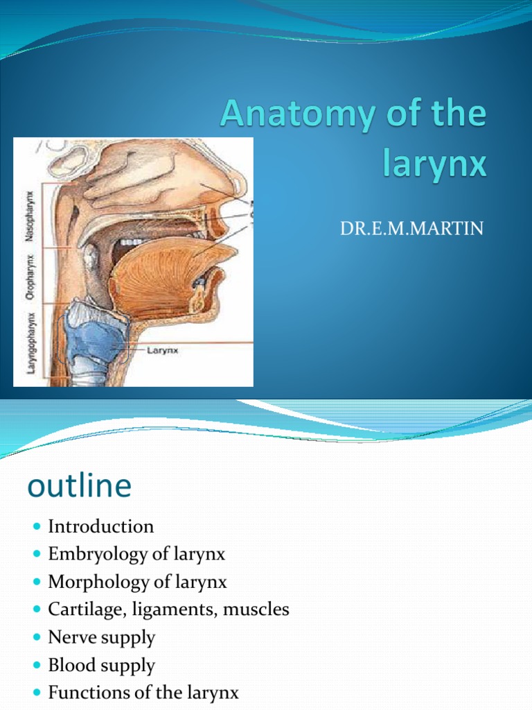 05. Anatomy of Larynx | Larynx | Common Carotid Artery