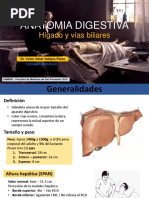 Anatomía y Fisiología Anorrectal | PDF | Recto | Sistema digestivo