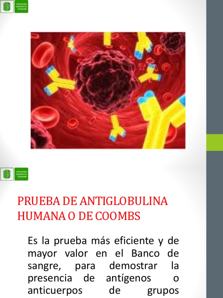 Coombs Directo | PDF | Anticuerpo | Inmunología