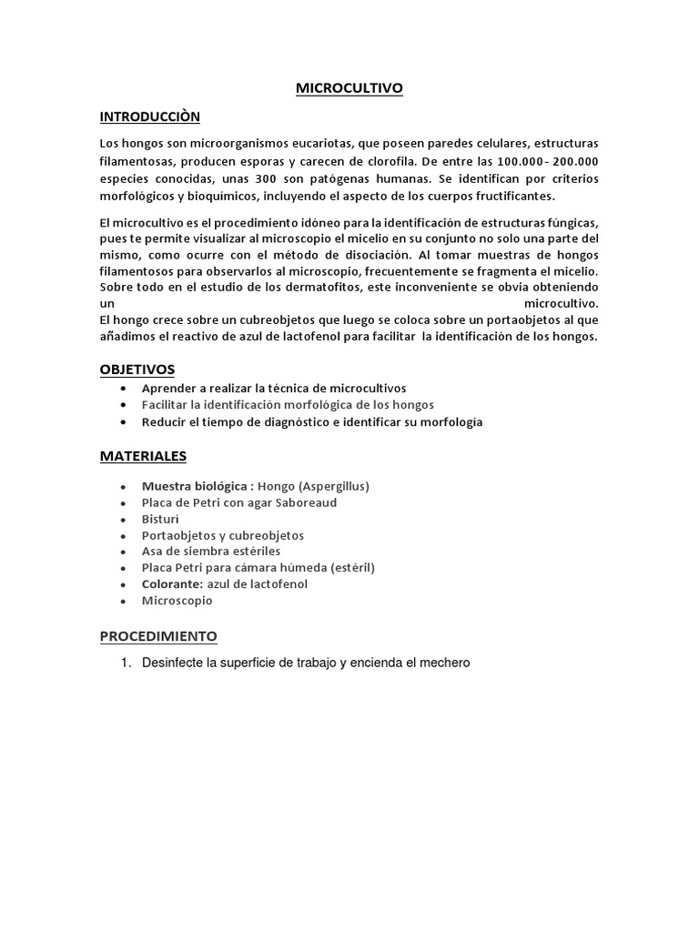 Microcultivo Informe | PDF | Hongo | Biología