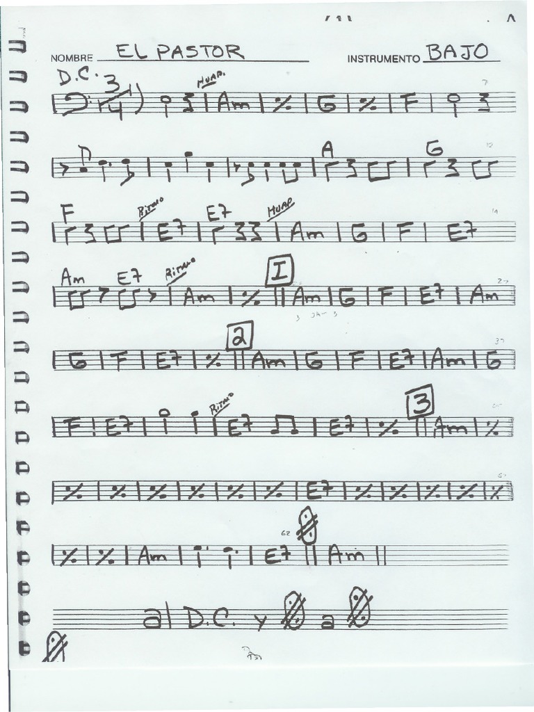 Guitarron El Pastor | PDF