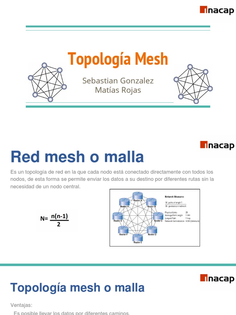 Topologia Mesh