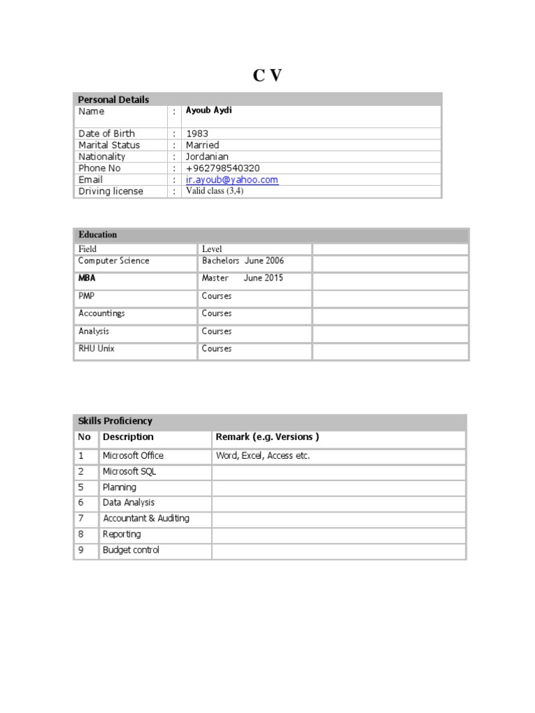 Aydi Ayoub CV | PDF | Non Governmental Organization | Business