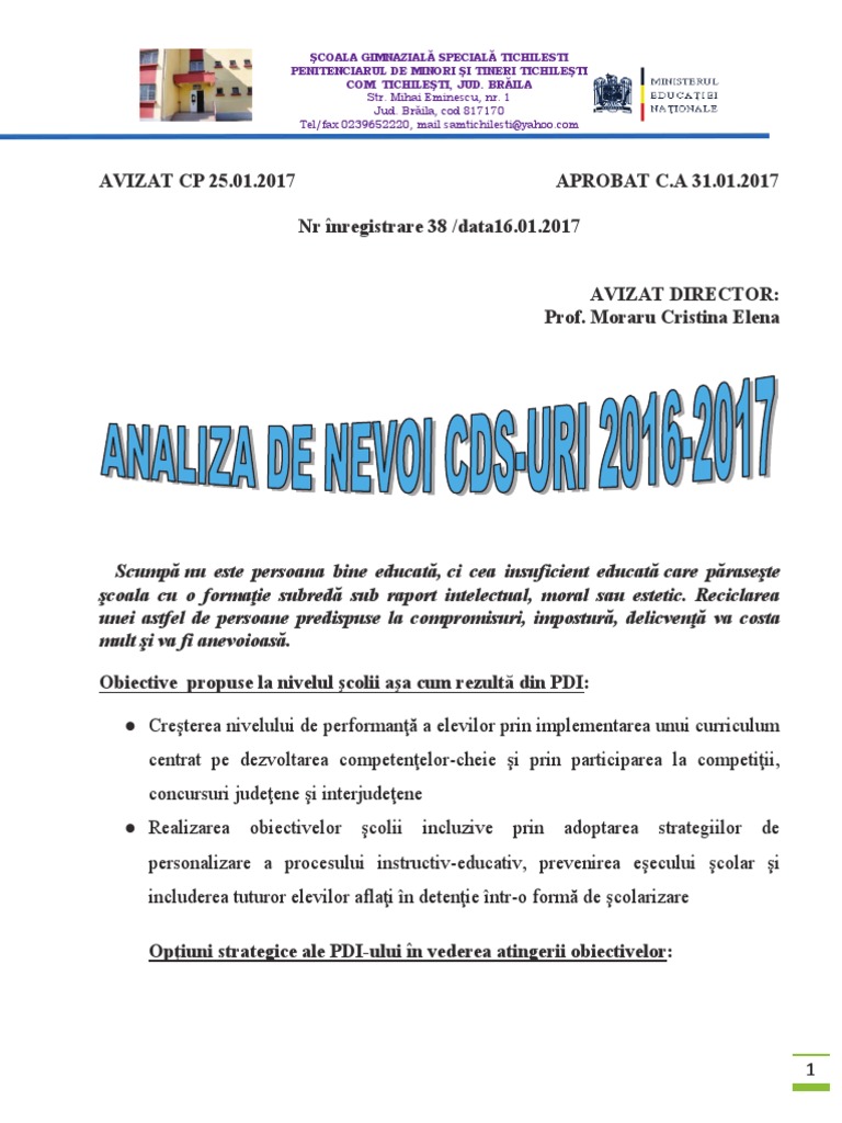 Cds-Analiza de Nevoi | PDF