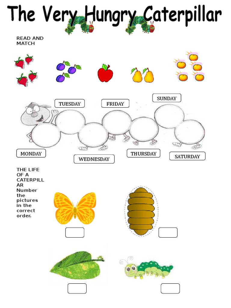 Food + Life Cycle Sequencing | PDF