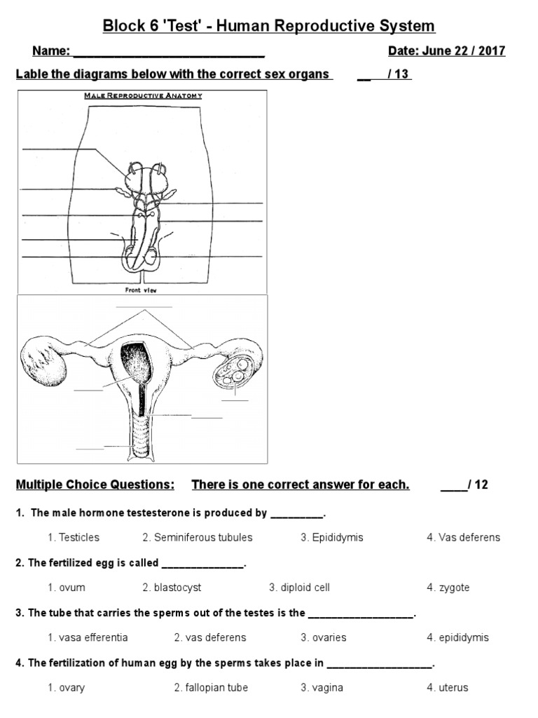 Block 6 Test Human Reproduction | PDF | Menstrual Cycle | Reproductive ...