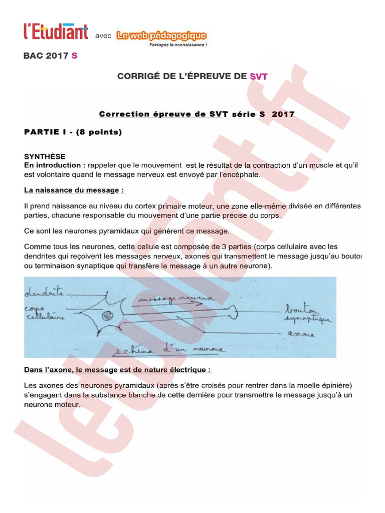 Bac S SVT Corrige | PDF