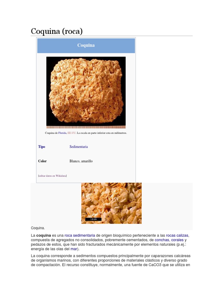 Características de la roca coquina | PDF