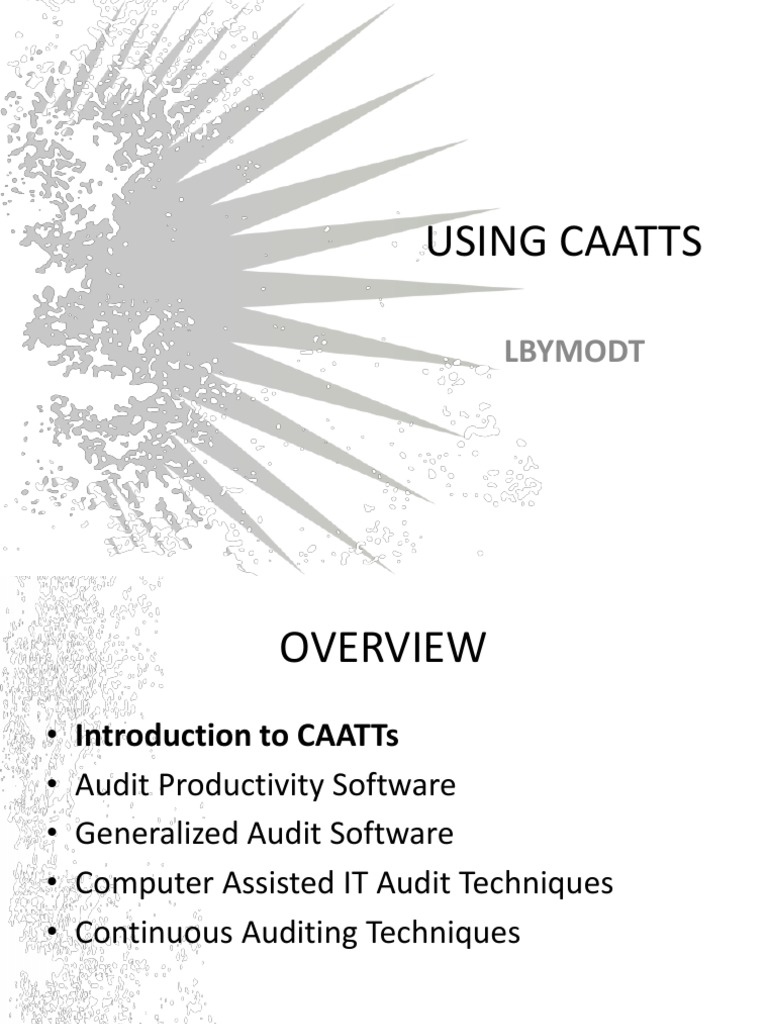 10.2 Using Caatts | PDF | Audit | Information Technology Management