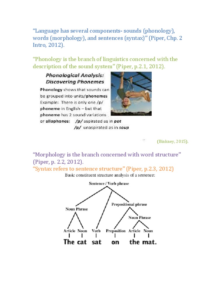 Branches of Language | PDF