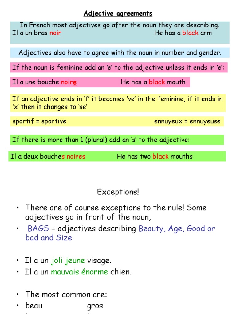 French Adjective Agreement Rules | PDF | Cooking, Food & Wine | Foreign ...