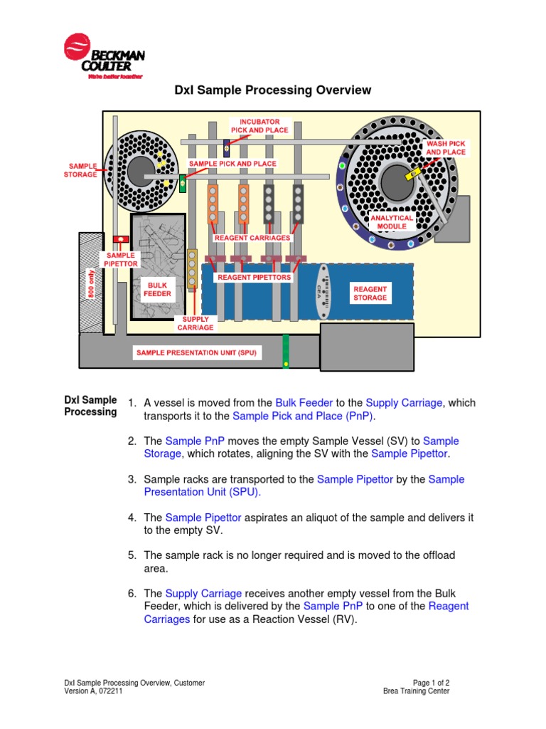 Dxi Sample Processing Overview | PDF | Laboratory Techniques ...