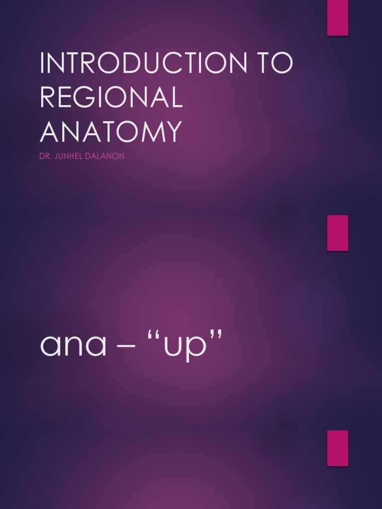 Introduction To Regional Anatomy | PDF | Anatomical Terms Of Motion ...