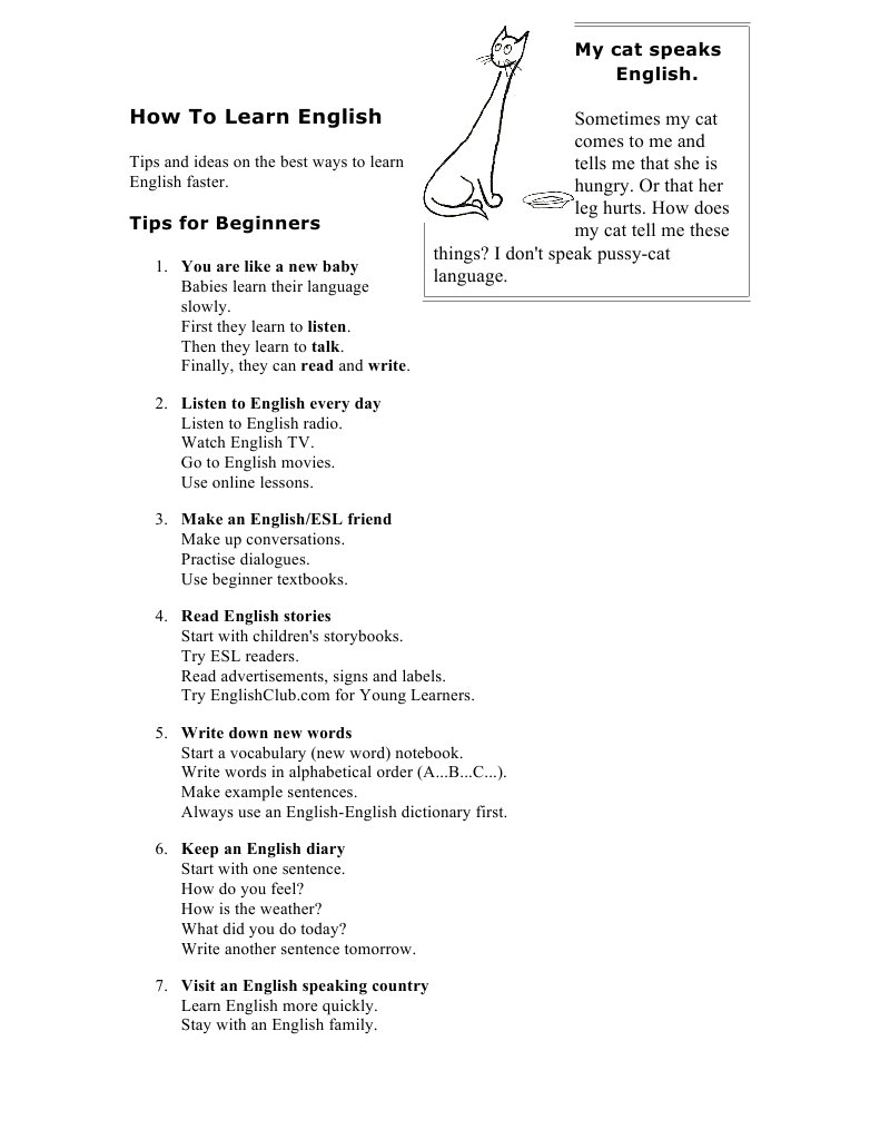 How To Learn English | PDF | English Language | Vocabulary