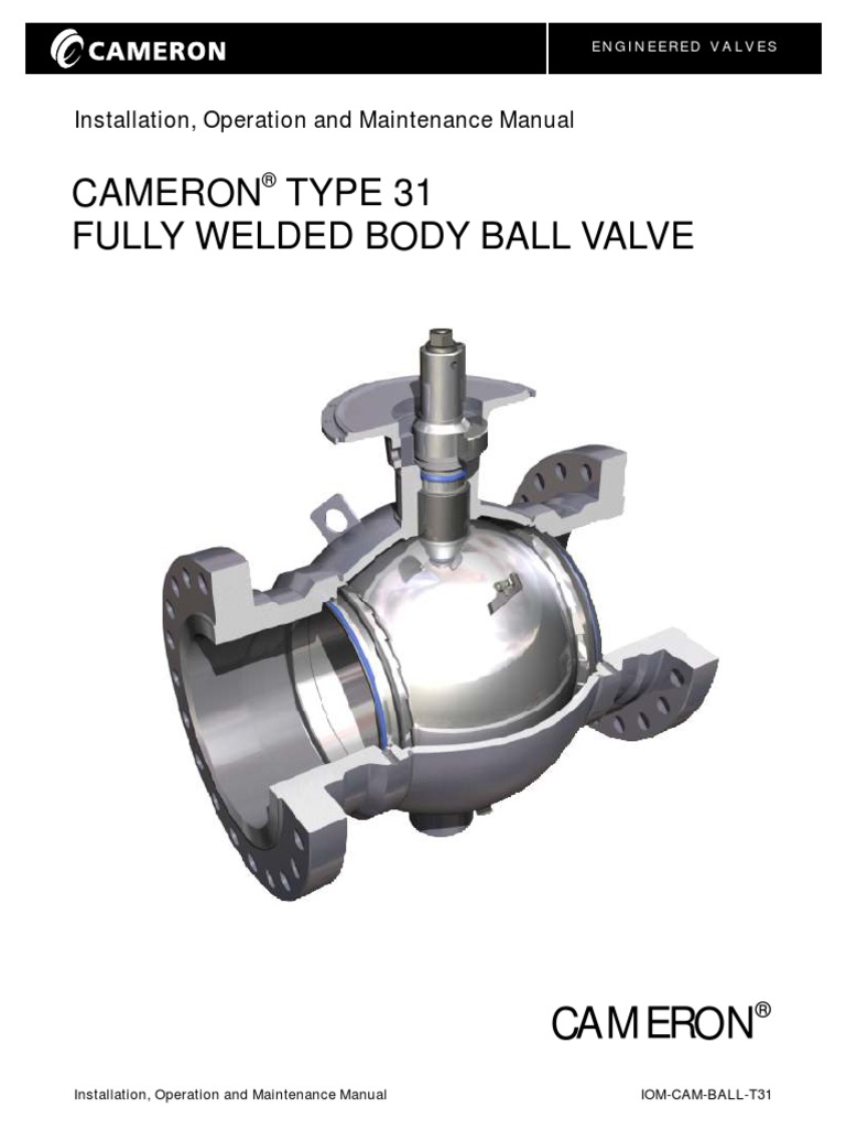 Cameron t31 Iom Special | PDF | Valve | Lubricant