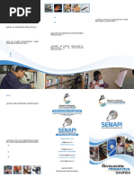 Qué es el SENAPI y su importancia | PDF | Propiedad intelectual | Patentar