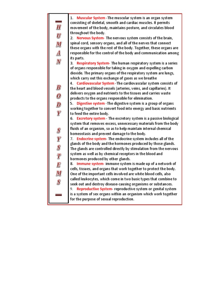Body Systems | PDF