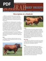 Official List of Breed Codes For Bovine: Beef Breeds | PDF | Livestock ...