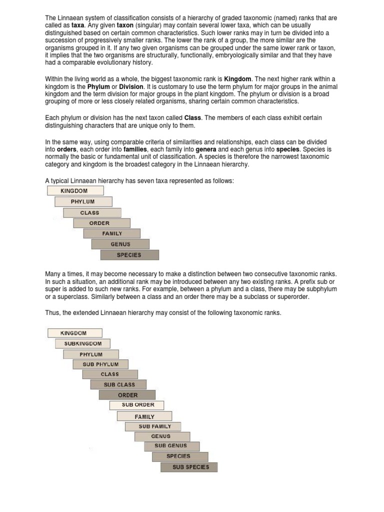 Linnaean Classification System Explained | PDF | Taxonomy (Biology ...