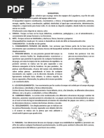 Tochito Cinta o Bandera | PDF | Pelota | Deportes