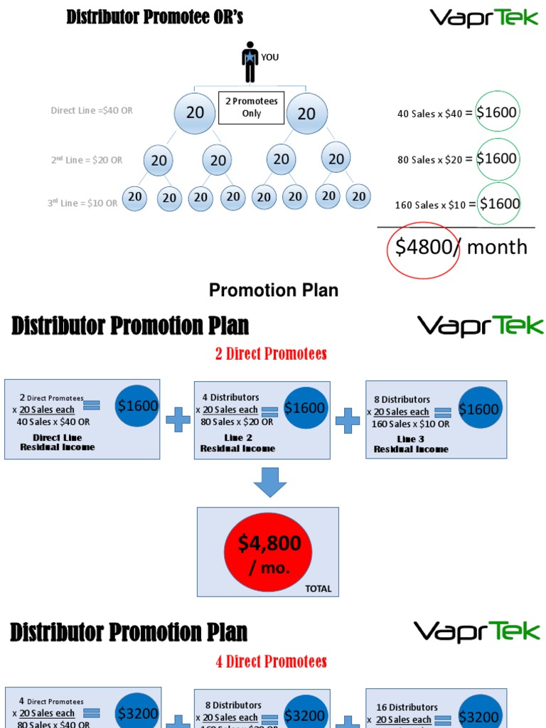Distributor Promotion Plan | PDF