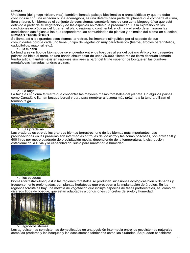 Tipos de Biomas y sus Características | PDF | Selva | Ecosistema