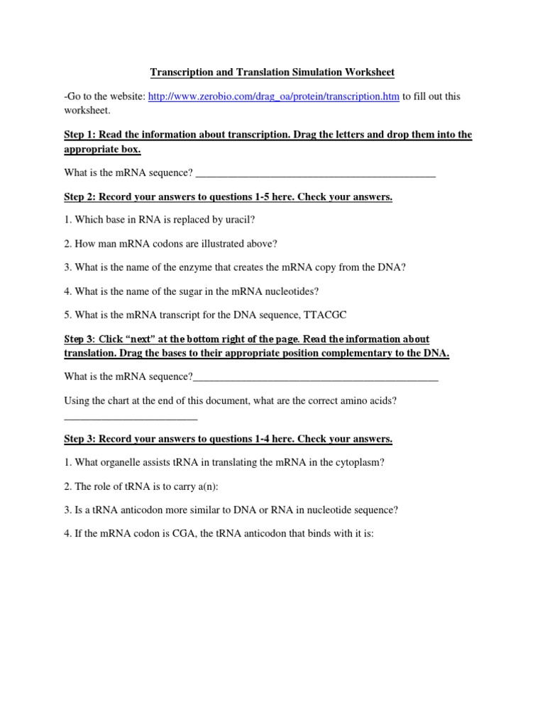 Transcription and Translation Simulation Worksheet | Download Free PDF ...